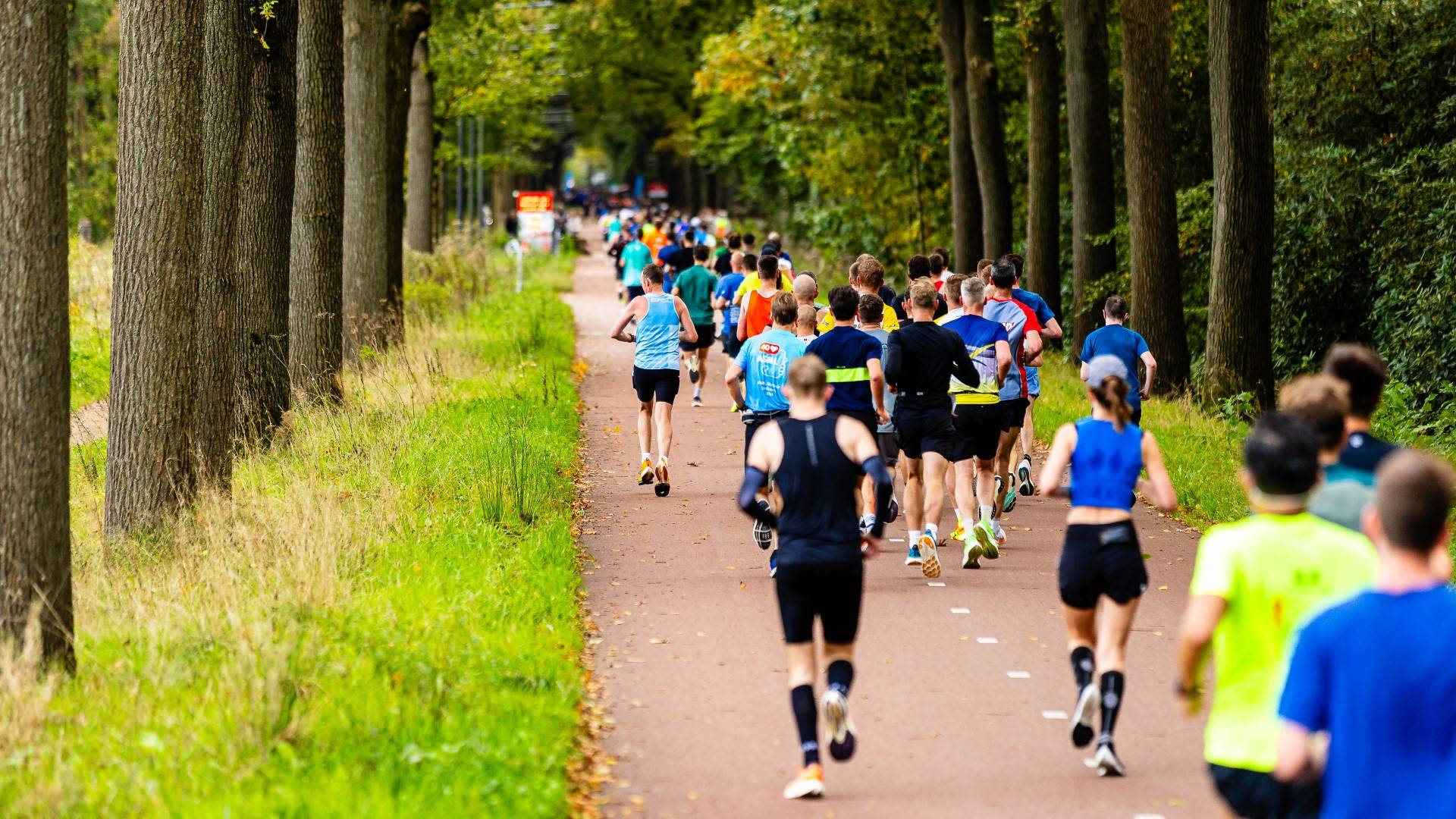 ASML Halve van Veldhoven - De Run voor iedereen!